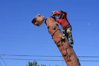 What is Accidental Death Insurance and How Does AD&D Work?